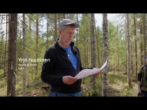 Continuous cover forestry concept and zone thinning