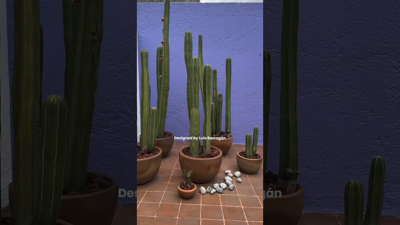 The last masterpiece of Luis Barragán ⚡️ Casa Gilardi, Luis Barragán’s final residential