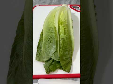 Cutting Romaine Lettuce 🥬 #asmr #salad #lettuce #healthy