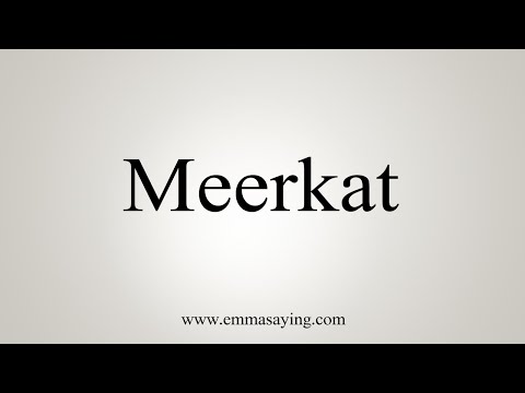 How To Say Meerkat