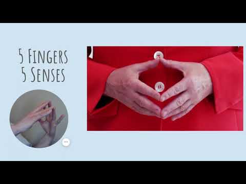 5 Fingers, 5 Senses (English)