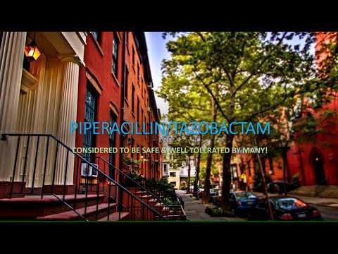 PIPERACILLIN -TAZOBACTAM