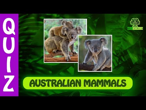 Name these 10 AUSTRALIAN MAMMALS! QUIZ