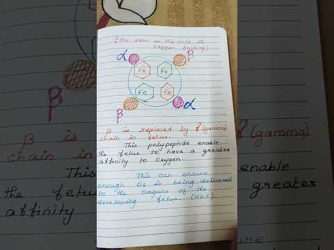 Hemoglobin,, structure function normal level of hemoglobin...