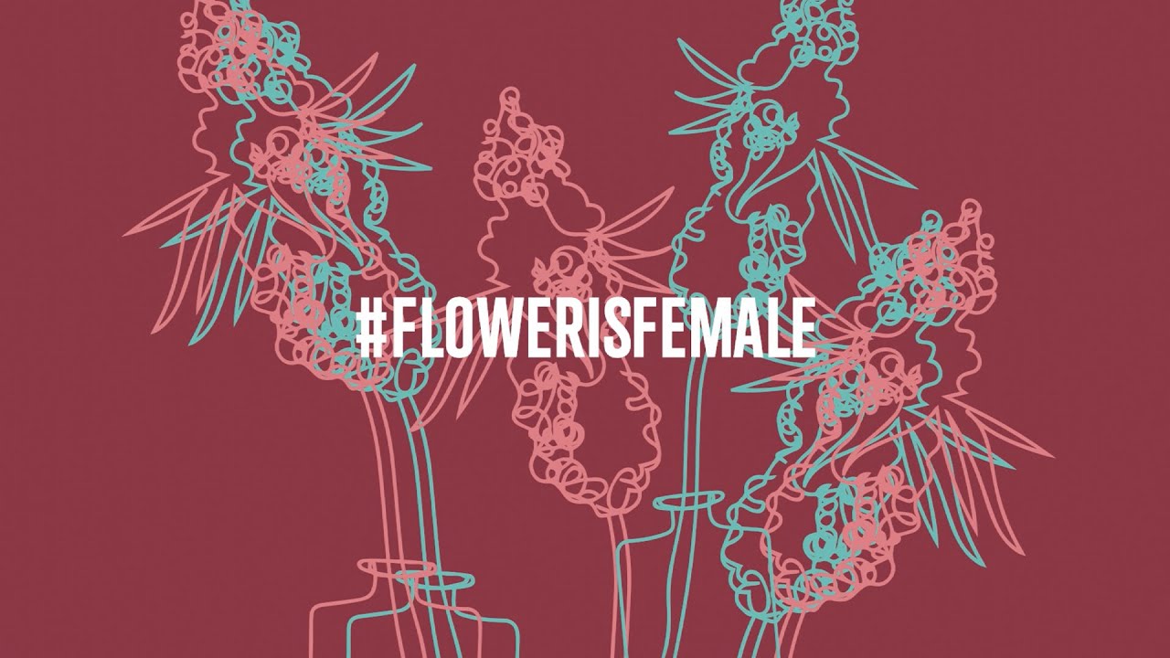 Flower is Female