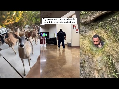 Videos I found on Reddit - r/unexpected - Complication #17