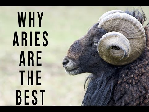 What Are Aries Personality Traits
