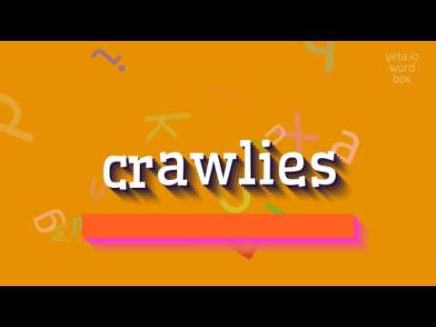 How to say "crawlies"! (High Quality Voices)