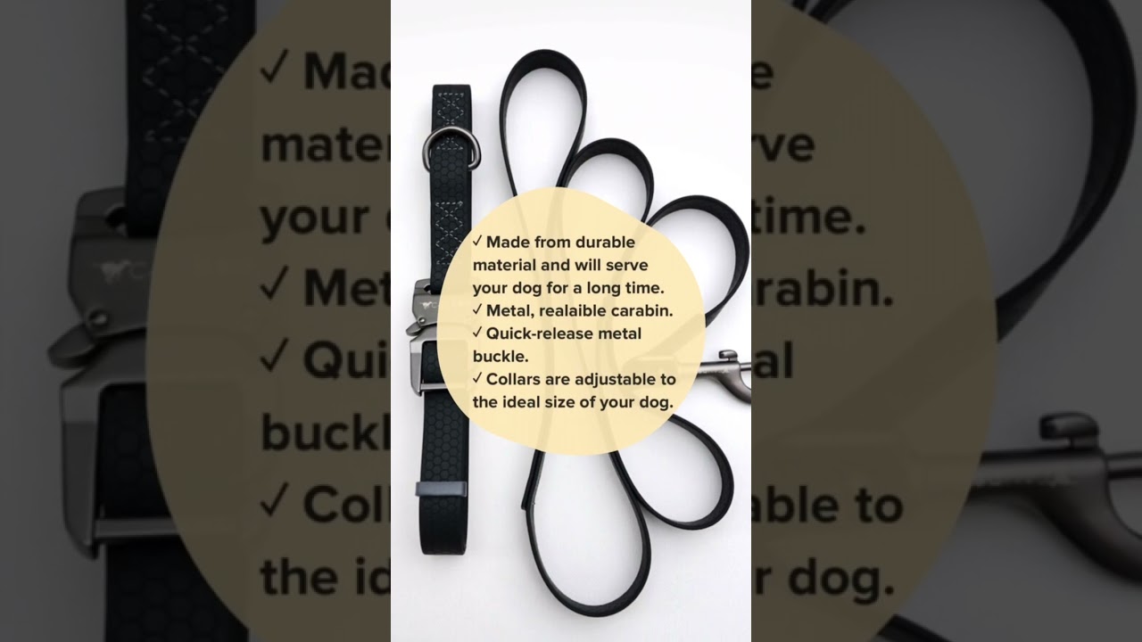 🖤💦 Black Waterproof Dog Collar and Leash Set #calidog