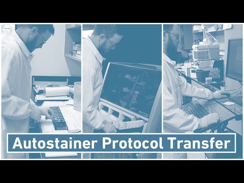 How to Switch From Manual to Automated Immunohistochemistry Protocols
