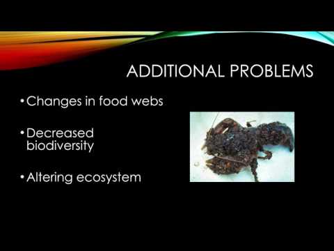 Invasive Species