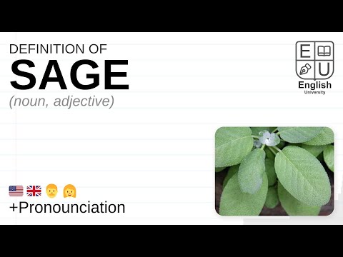 SAGE meaning, definition & pronunciation | What is SAGE? | How to say SAGE