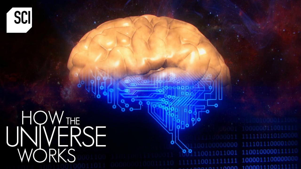 Artificial Intelligence: the Next Step in Our Evolution? | How the Universe Works | Science Channel