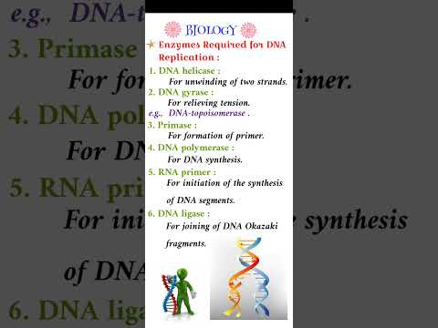 Enzymes Required for DNA Replication