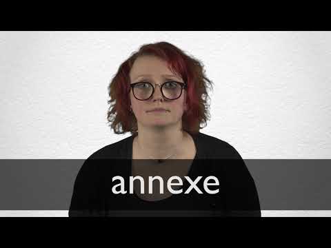 ANNEXE - Definition & Translations | Collins English Dictionary