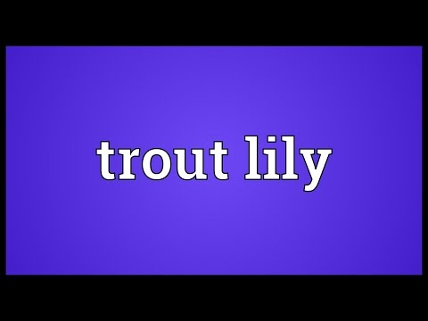 Trout lily Meaning
