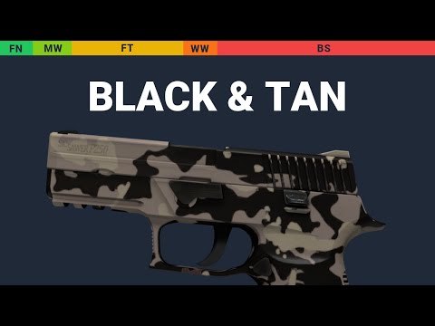 P250 Black & Tan - Skin Float And Wear Preview