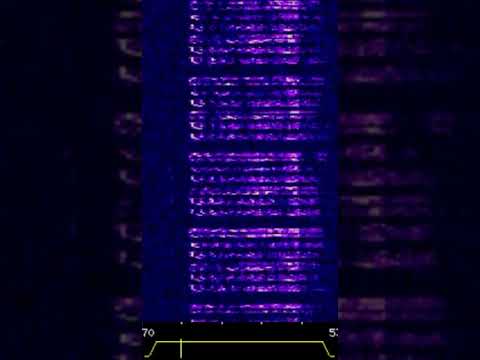 Explaining Creepy Number Station S11a! If you don't understand it the first time pls rewatch #short