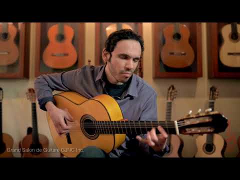 Raimundo Model 125 Flamenco iMuso