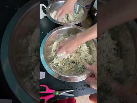 Sattvic Food Workshop at Upaya Yoga Teacher Training School #shorts