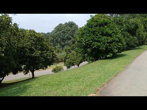 Huge Syzygium collection at Putrajaya botanic garden, Malaysia