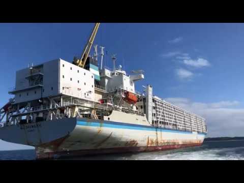 LiveCorp Open Innovation Ship Visit
