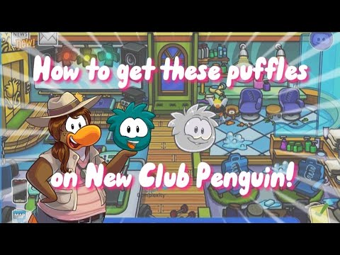How to get EXOTIC puffles on New Club Penguin! | Rainbow, Gold, Silver, Teal and more!💠