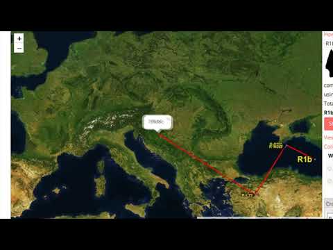 R1b1a2a1a2a Haplogroup R-DF27