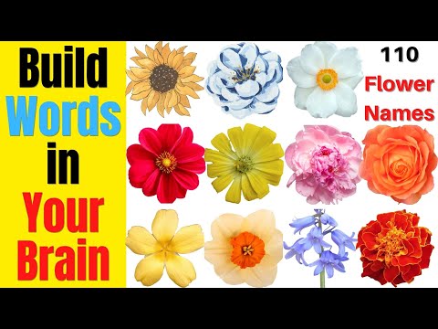 Improve English by Building more WORDS in Your BRAIN | 110 Flower Names | Learn Vocabulary