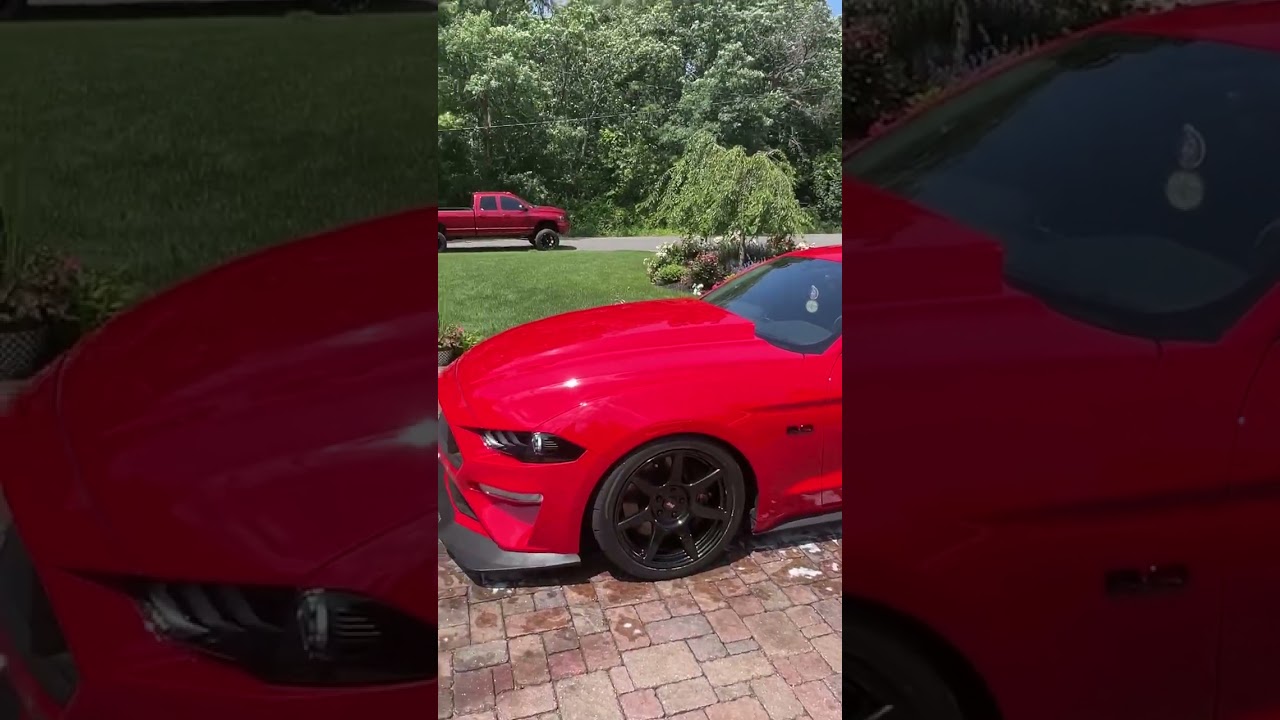 2018 mustang gt Cervini cobra r hood