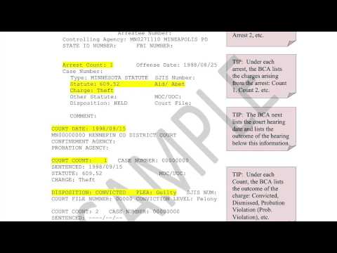 How to Read your Minnesota Criminal History