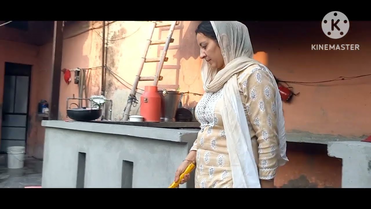 Evening ਦੇ ਕੰਮ ਕਾਜ  and cleaning  video || punjabi mom on duty || village vlogs