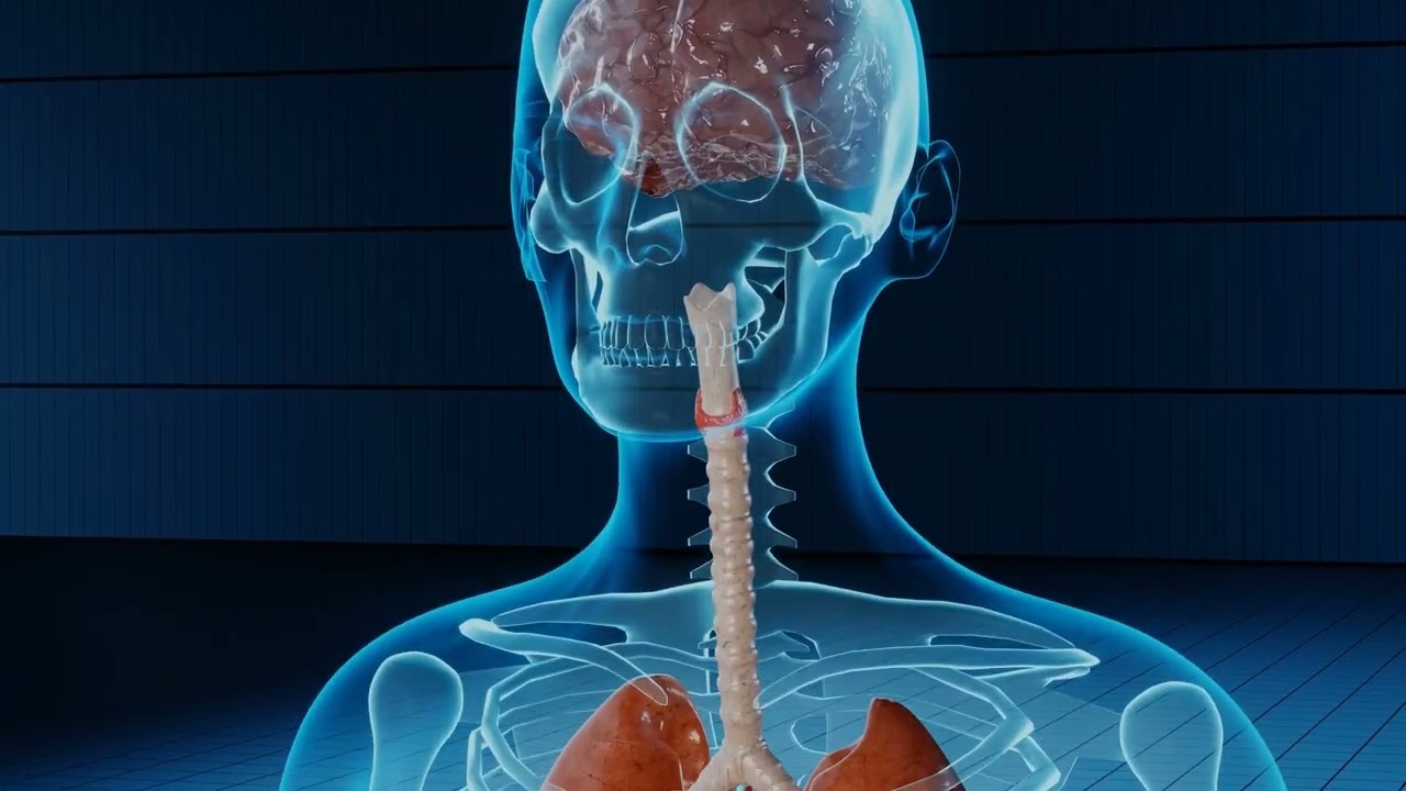 VCE Subject Selection - Health and Human Development Units 1 and 2