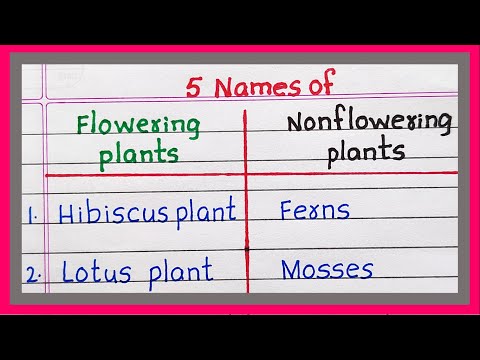 Examples of Flowering Plants and Nonflowering Plants | 5 Names of flowering and nonflowering plants