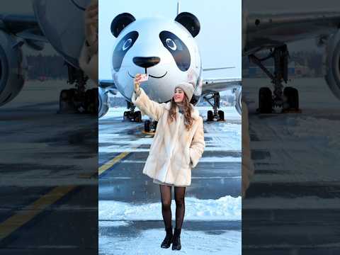 Would you like to fly on this adorable plane? #airplane #plane #flight #panda