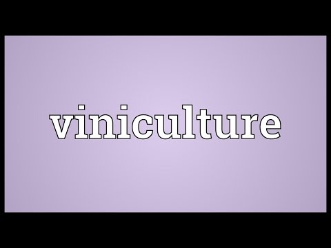 Viniculture Meaning