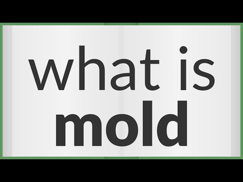 Mold | meaning of Mold