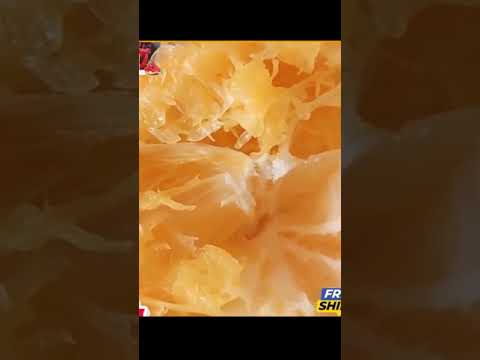 Manual fruit juicer