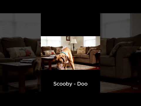 Scooby Doo Characters in Real Life