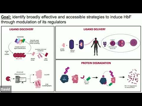 Chemical biology tools for hematological disorders