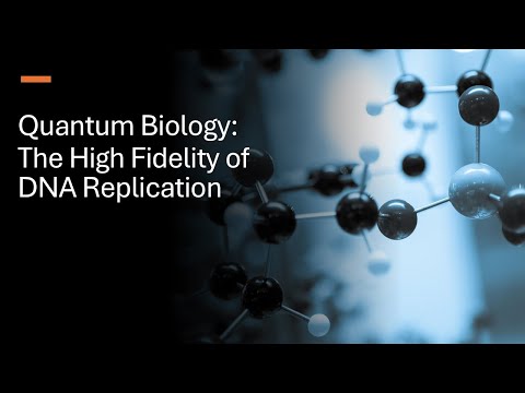Quantum Biology: The High Fidelity of DNA Replication