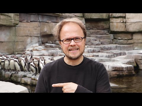 Das Medium des Pinguins – die blaue und die grüne Medienwelt (2021er Version; NLQ-Impulse 9)