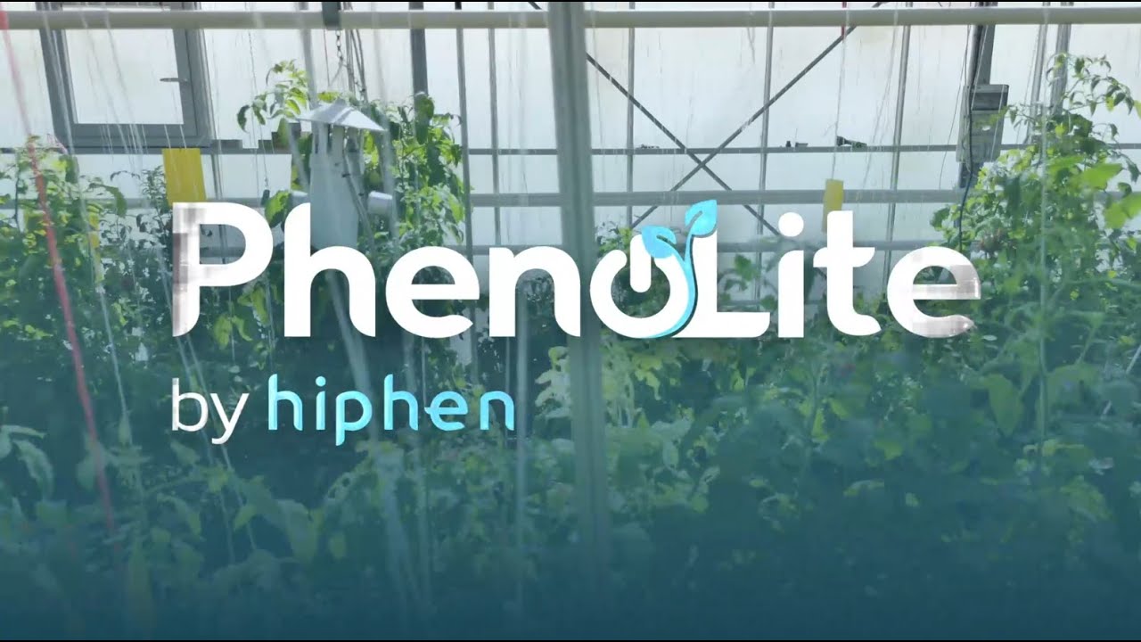 PhenoLite® For Post-Harvest Quality Assessment - Demo
