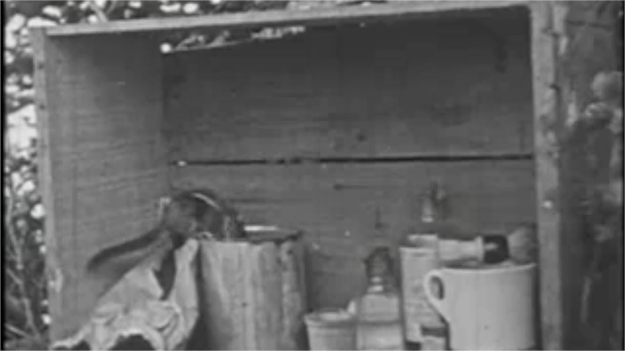 Making Friends With Chipmunks (1920s)