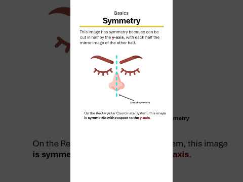 Symmetry about the X-Axis, Y-Axis & Origin Symmetry Explained! The Basic Concept