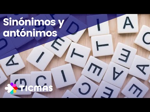 Sinónimos y Antónimos: ¿qué son y en qué se diferencian?