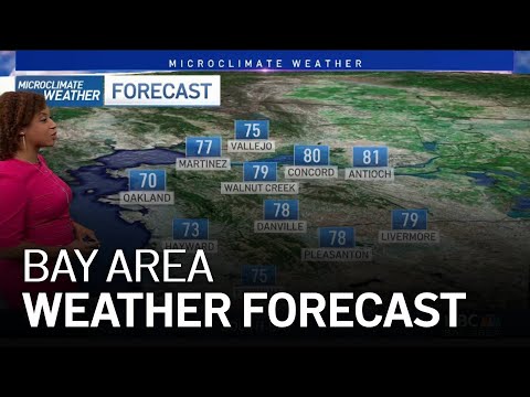 Forecast: Cool-Down Ahead