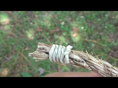 Half Hitch (West Country) Whipping – SCOUT PIONEERING