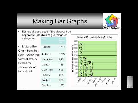 5th Grade Making Bar Graphs