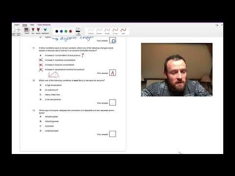 Enzymes Multiple Choice (OCR A Level Biology 2.4)